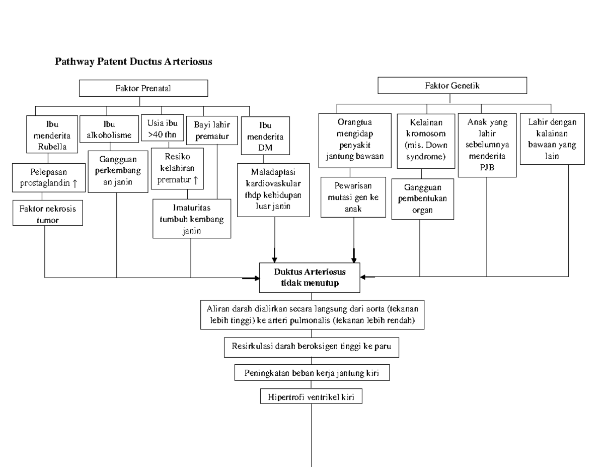 Pathway PDA, VSD, dan Tetralogi of Fallot: Faktor Genetik dan ...