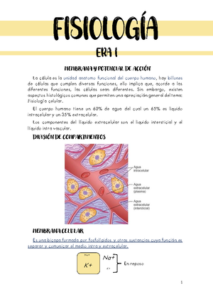 Medicina BIOQUÍMICA NUTRICIÓN NORMAL TP - Unidad Didáctica 3 (2024 ...