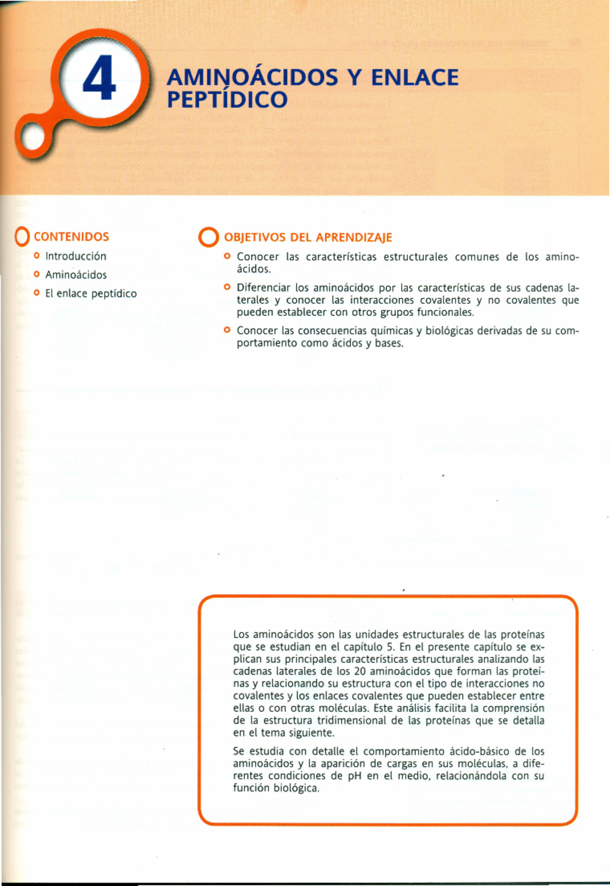 4. Aminoá Cidos Y Enlace Peptidico - AMINOÁCIOOS y ENLACE PEPTíOICO ...