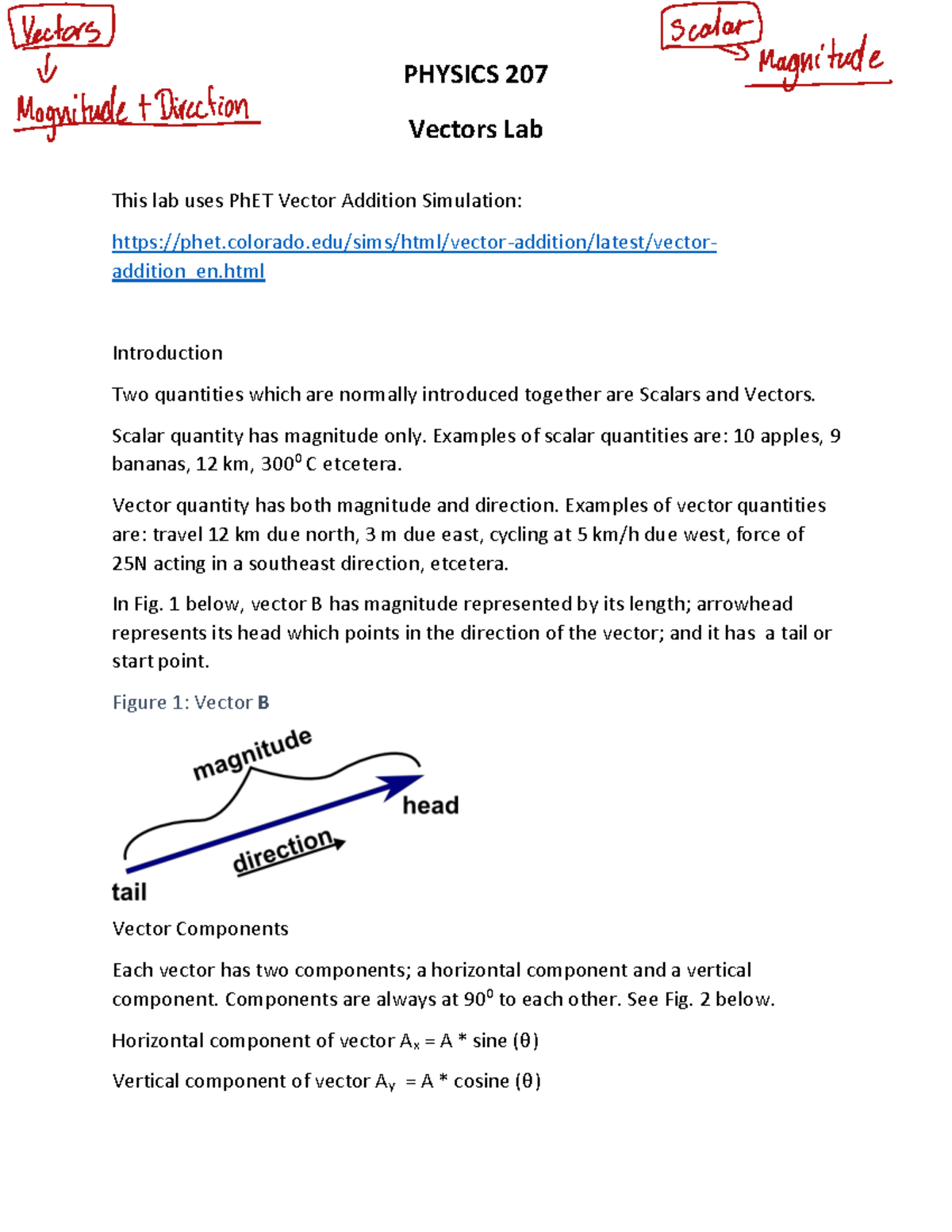 Physics 207 - Vectors Lab: Experiments and Solutions - Studocu