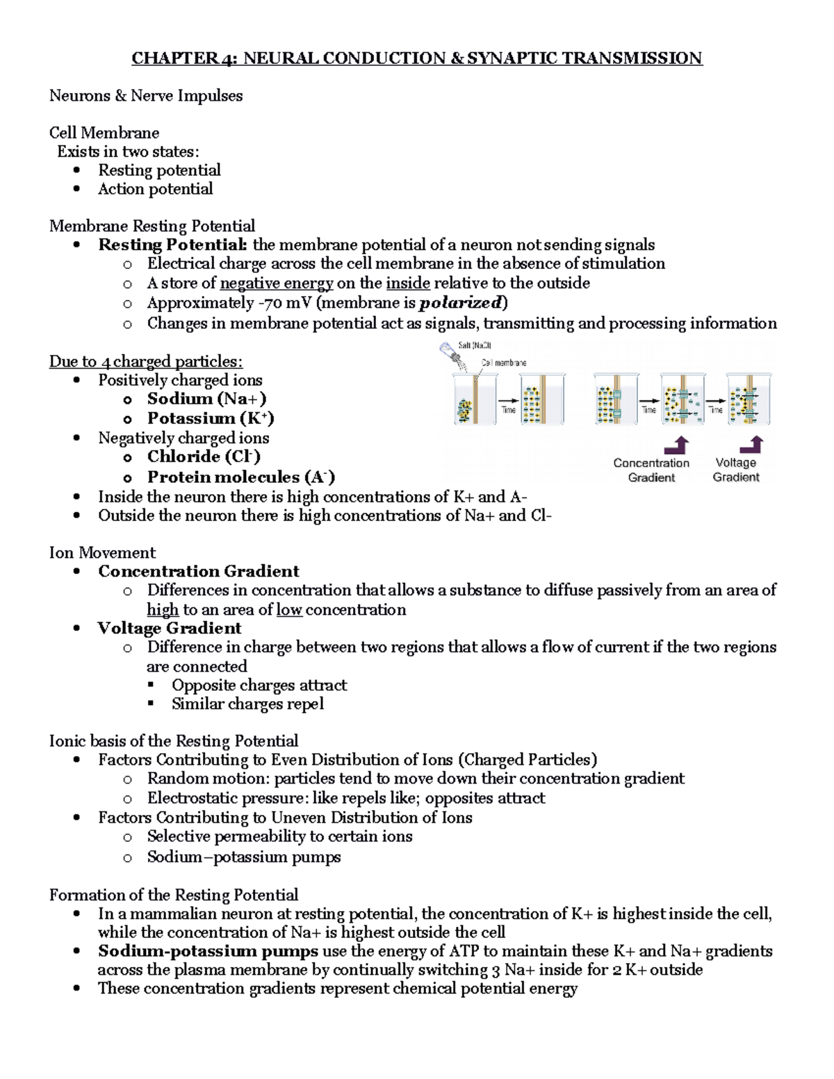 Chapter 4 Neural Conduction Synaptic Transmission Overview Studocu