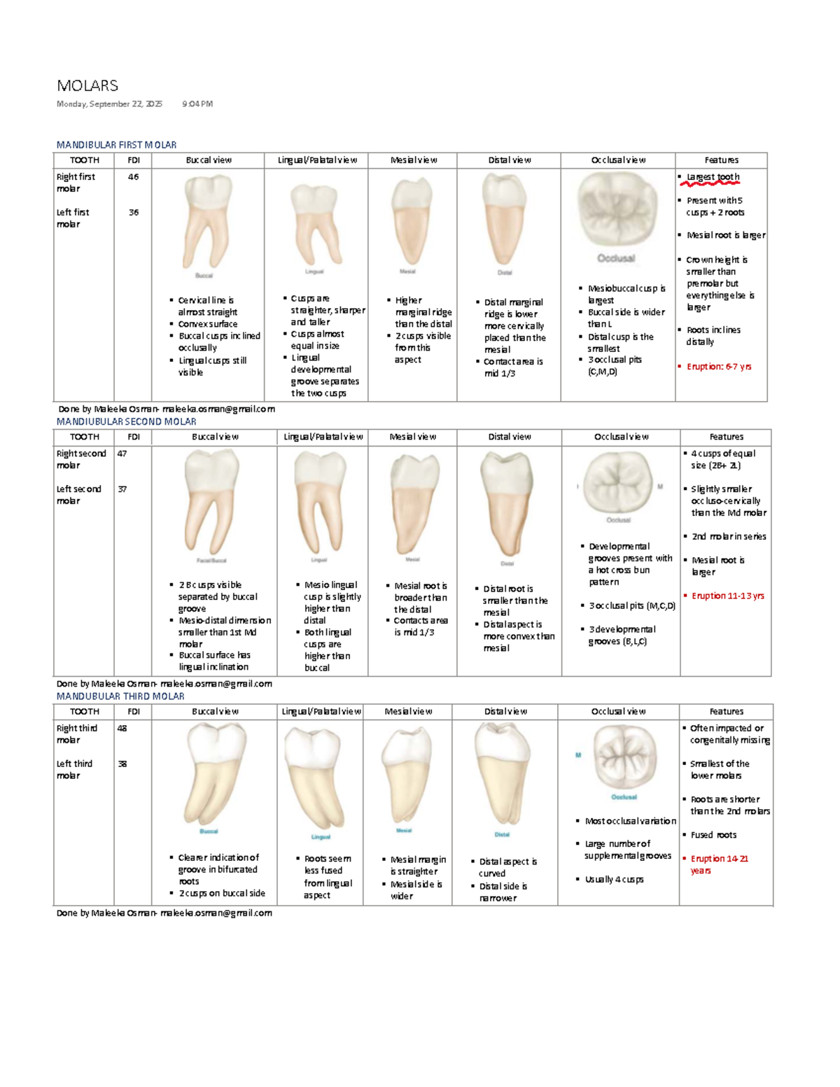 MOLARS Study Guide: FDI Mandibular & Maxillary Teeth Features - Studocu