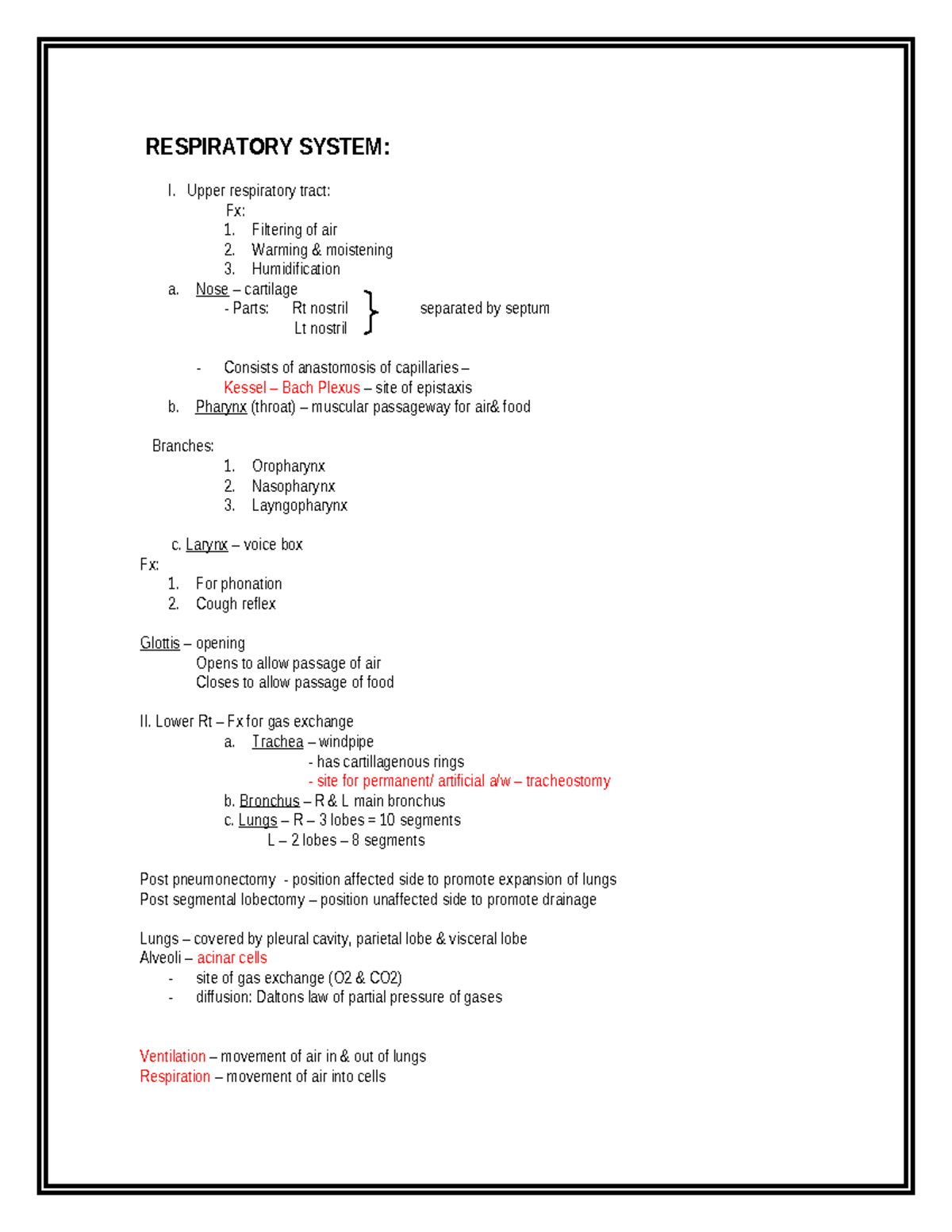 RESP 101: Anatomy of the Respiratory System Overview - Studocu