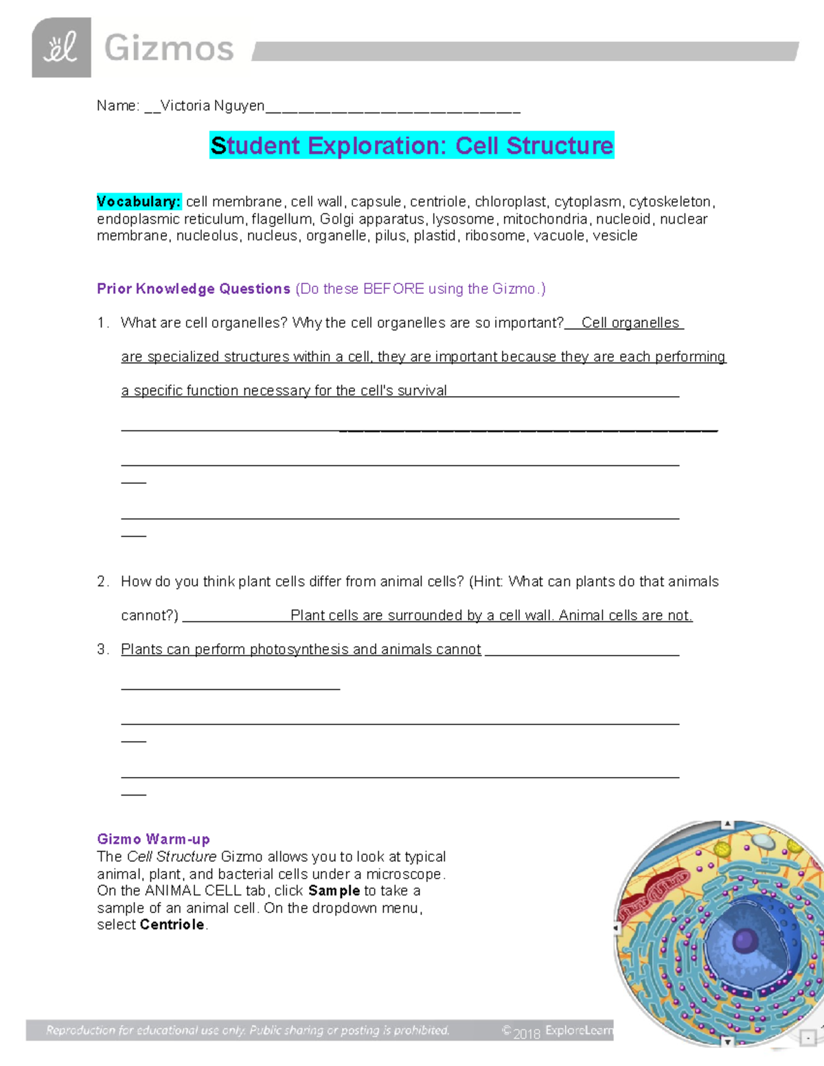 Cell Structure SE victoria - Name: Victoria Nguyen ...
