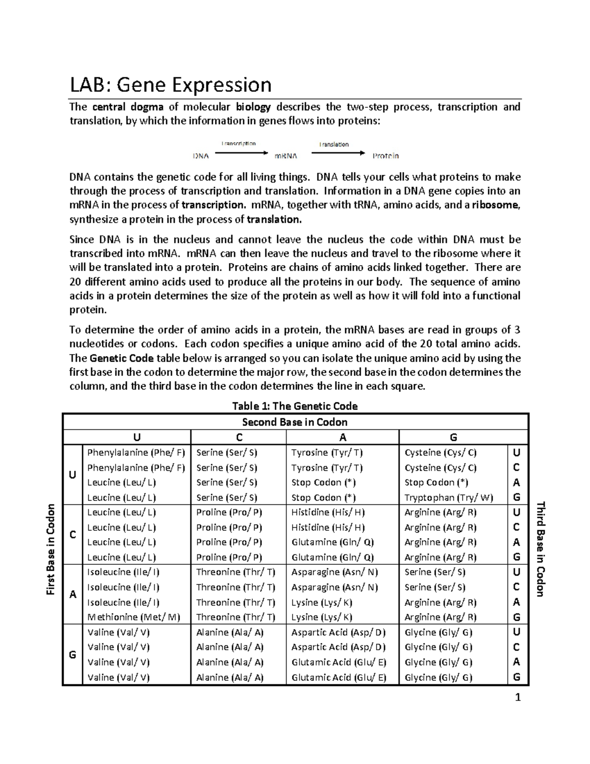 BIOL 1406, Lab #10 - Gene Expression - LAB: Gene Expression The central ...