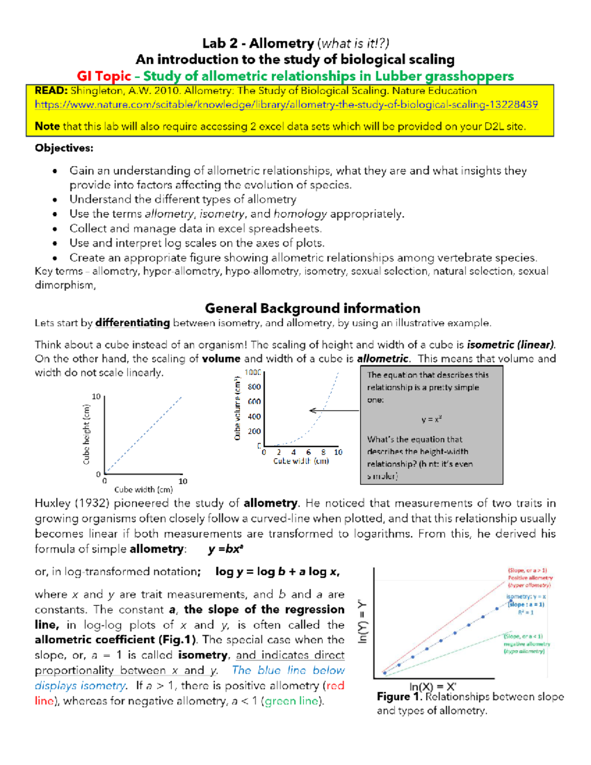 Lab 2 - Allometry: Exploring Allometric Relationships in Grasshoppers ...