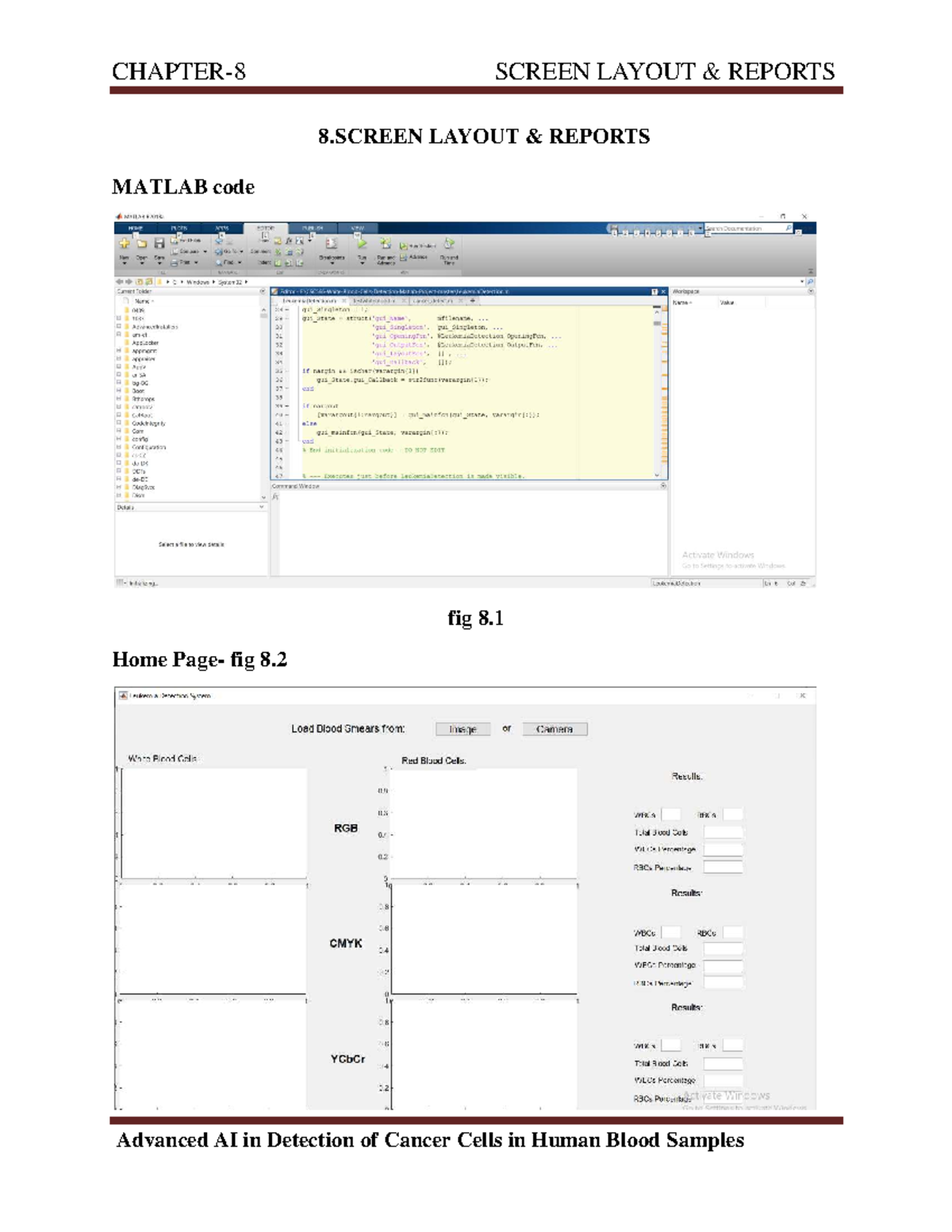 Screen Layout Reports: AI Detection of Cancer Cells in Blood Samples ...