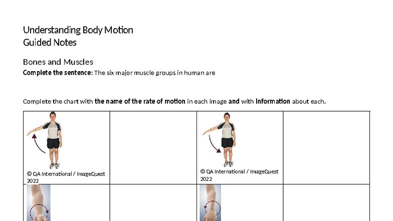 Understanding Body Motion: Bones & Muscles Guided Notes (FLVS) - Studocu