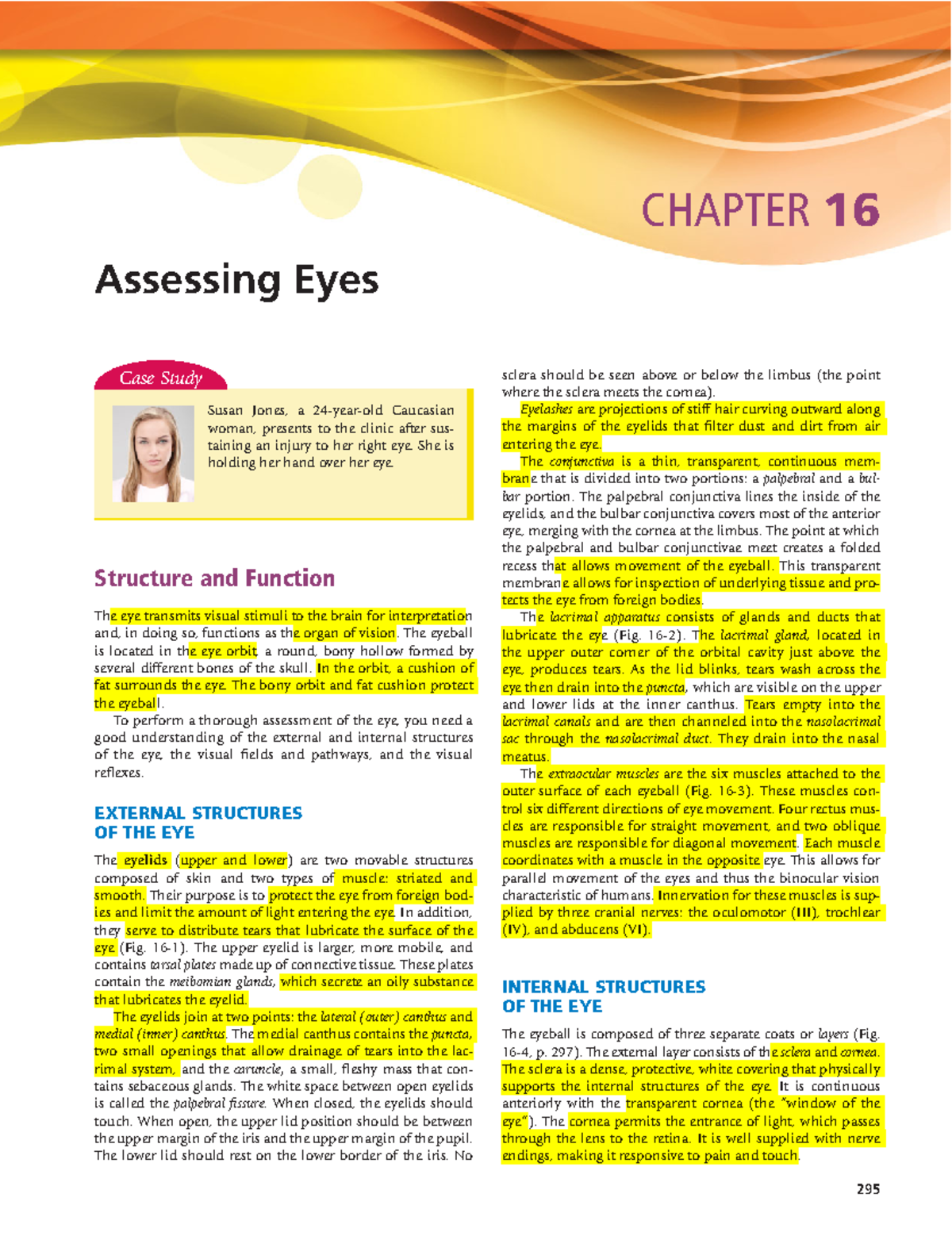 NURS 295 - Assessing Eyes: Structure, Function, and Clinical Insights ...