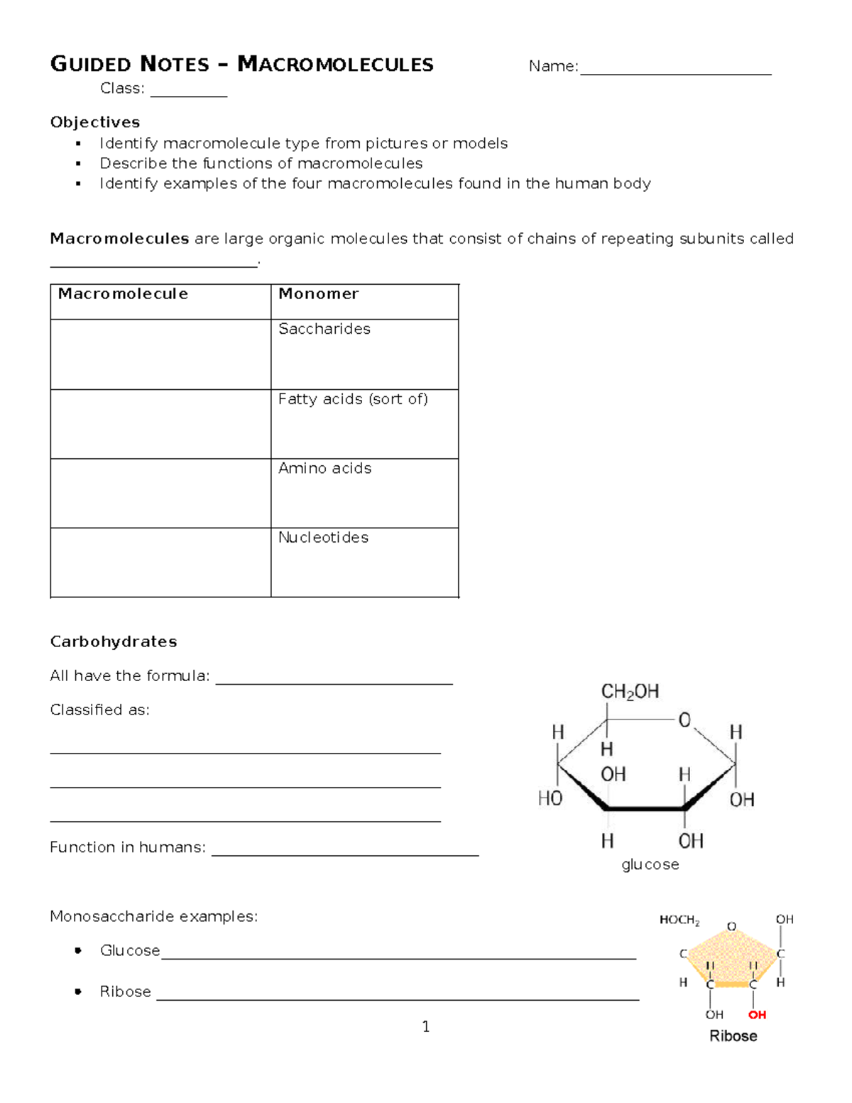 MACROMOLECULES GUIDED NOTES: Class Objectives & Functions - Studocu