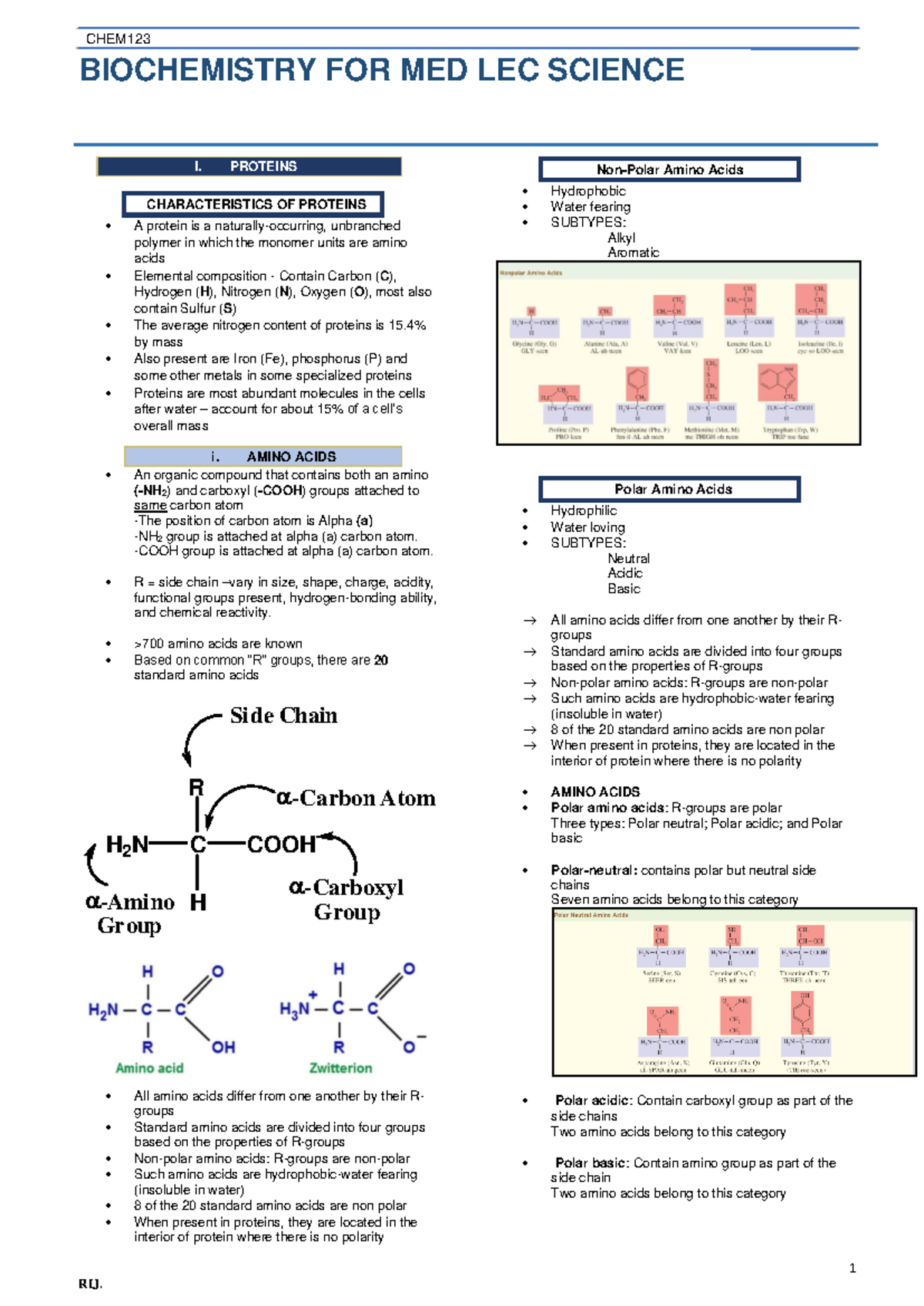 CHEM 101: Lecture Notes on Protein Structure and Function - Studocu