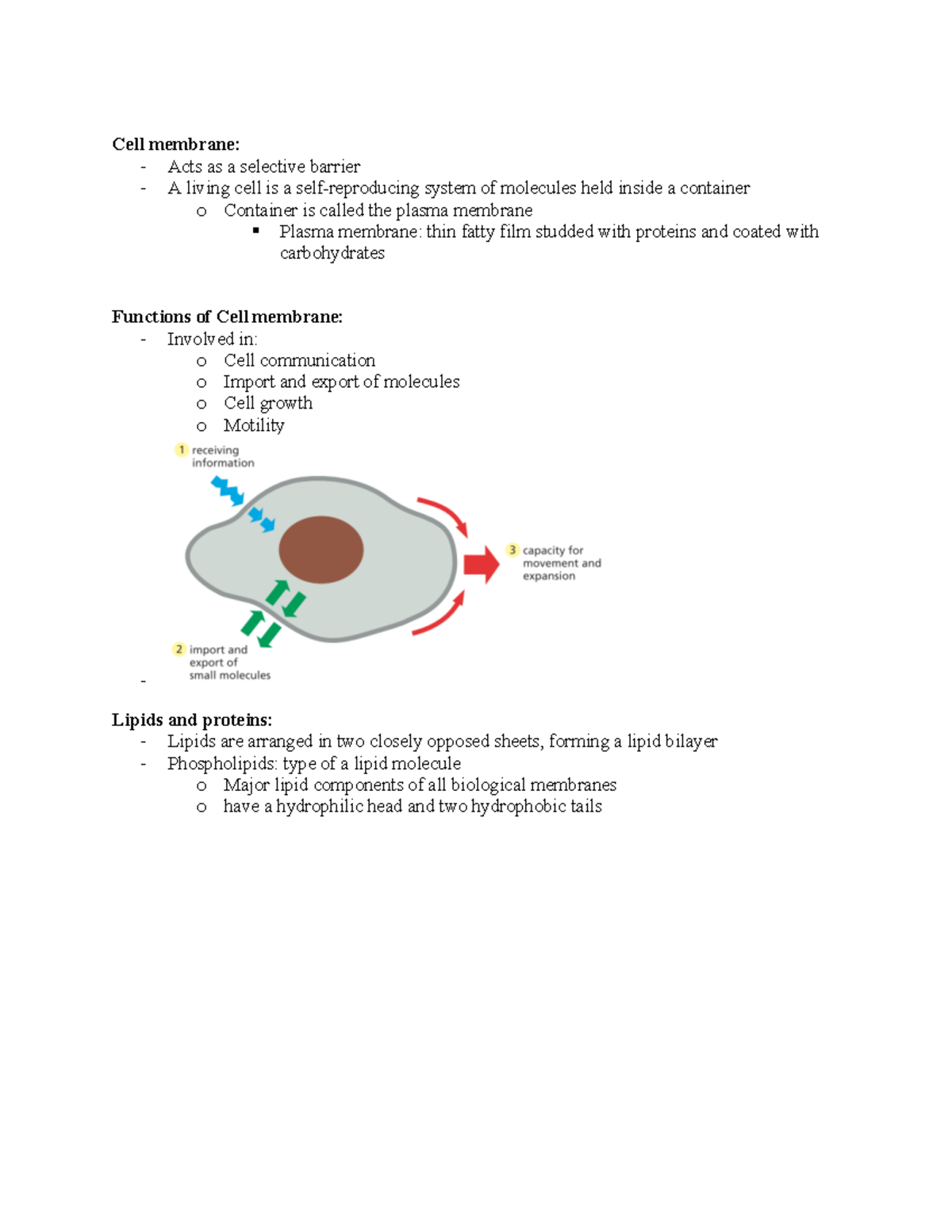 BIO1140-Cell Membrane Structure and Function Overview - Studocu