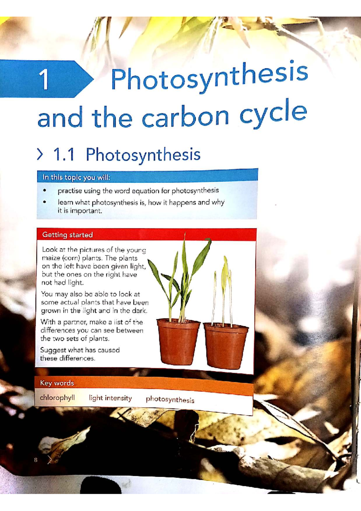 PA2 Preparation: Photosynthesis and the Carbon Cycle Overview - Studocu