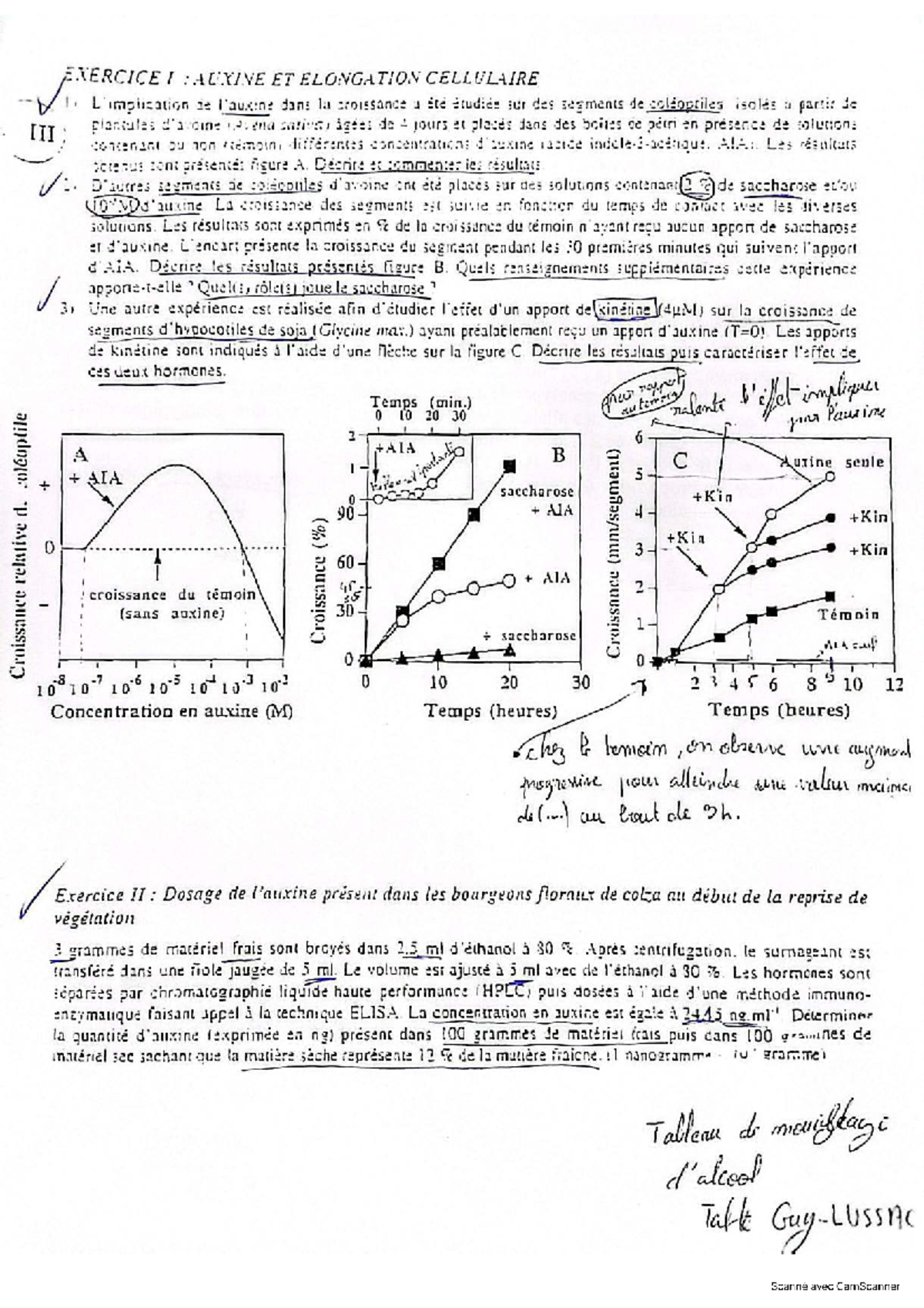EXERCICE I : AUXINE ET ÉLONGATION CELLULAIRE - TD2 CDP - Studocu