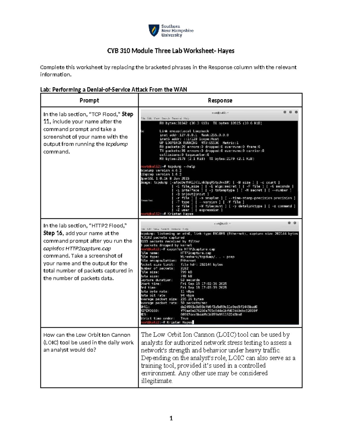 CYB 310 Module 3 Lab Worksheet: LOIC Tool Analysis - Studocu