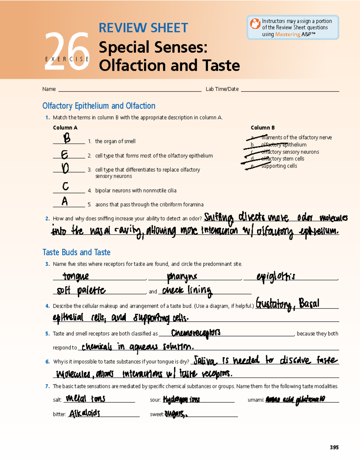 chapter 26 lab - 395395 Instructors may assign a portion of the Review ...