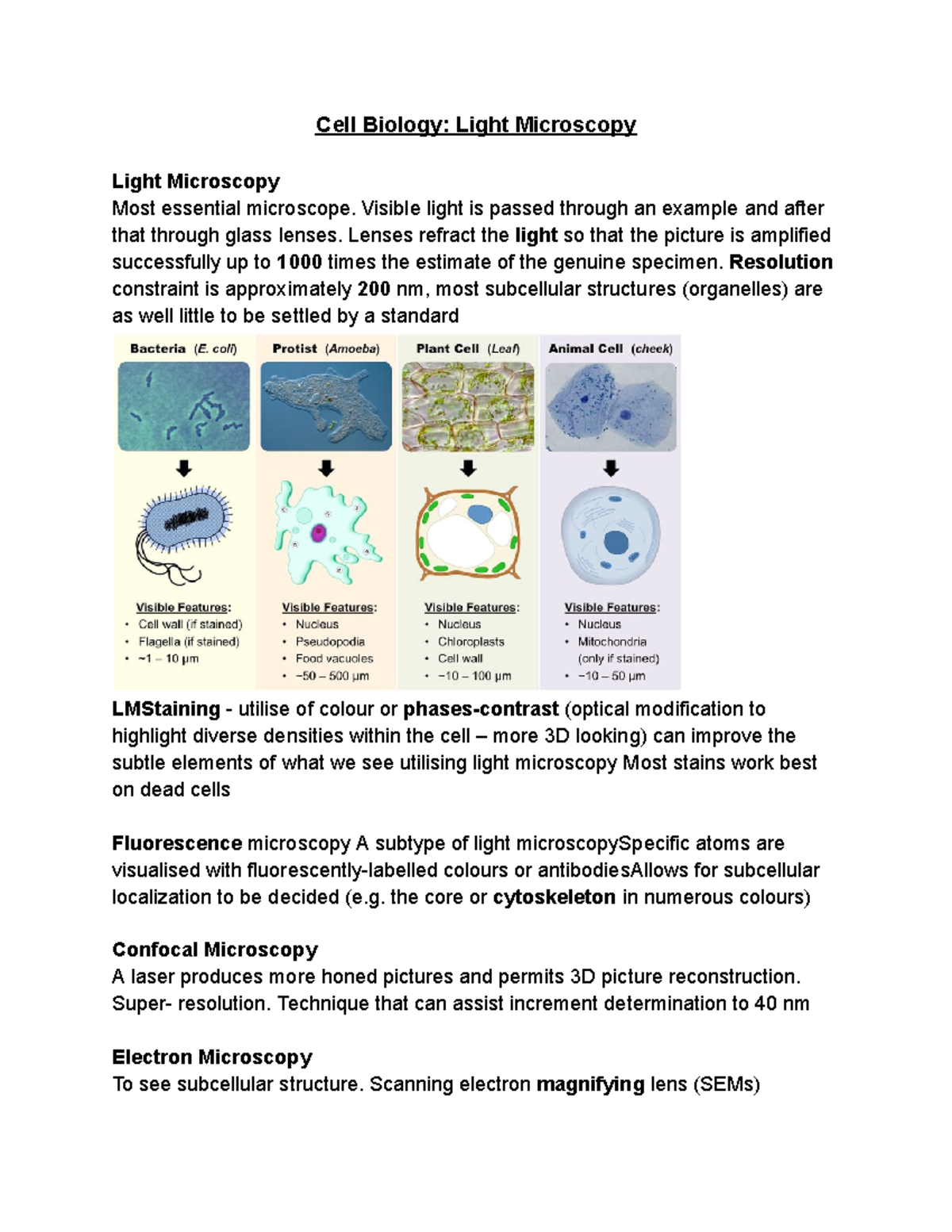 Cell Biology (BIO 101): Light Microscopy Techniques and Applications ...