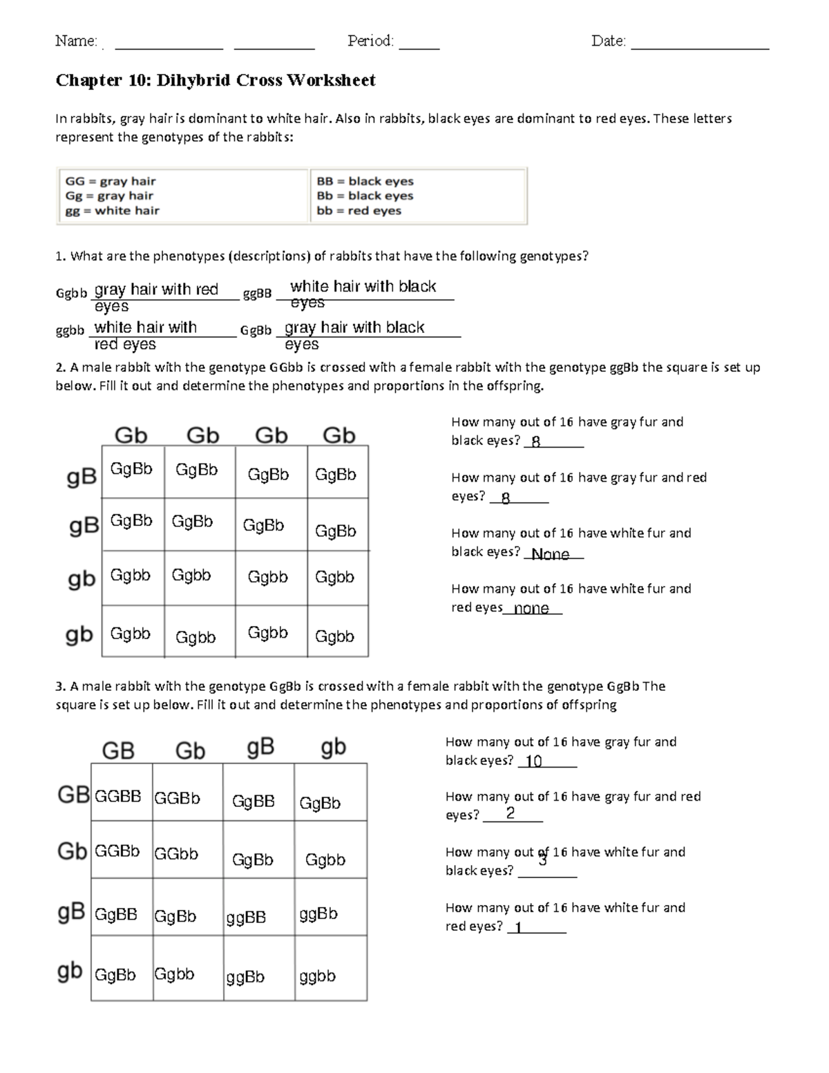 Dihybrid Cross Worksheet (Biology 101) - Studocu