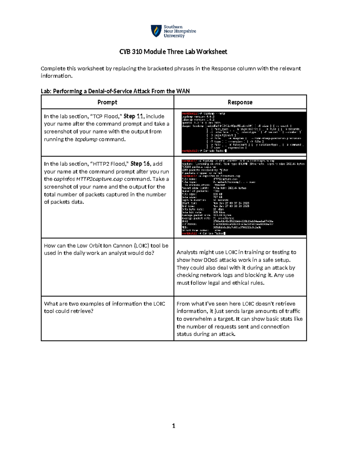 CYB 310 Module Three Lab Complete - CYB 310 Module Three Lab Worksheet Complete this worksheet ...