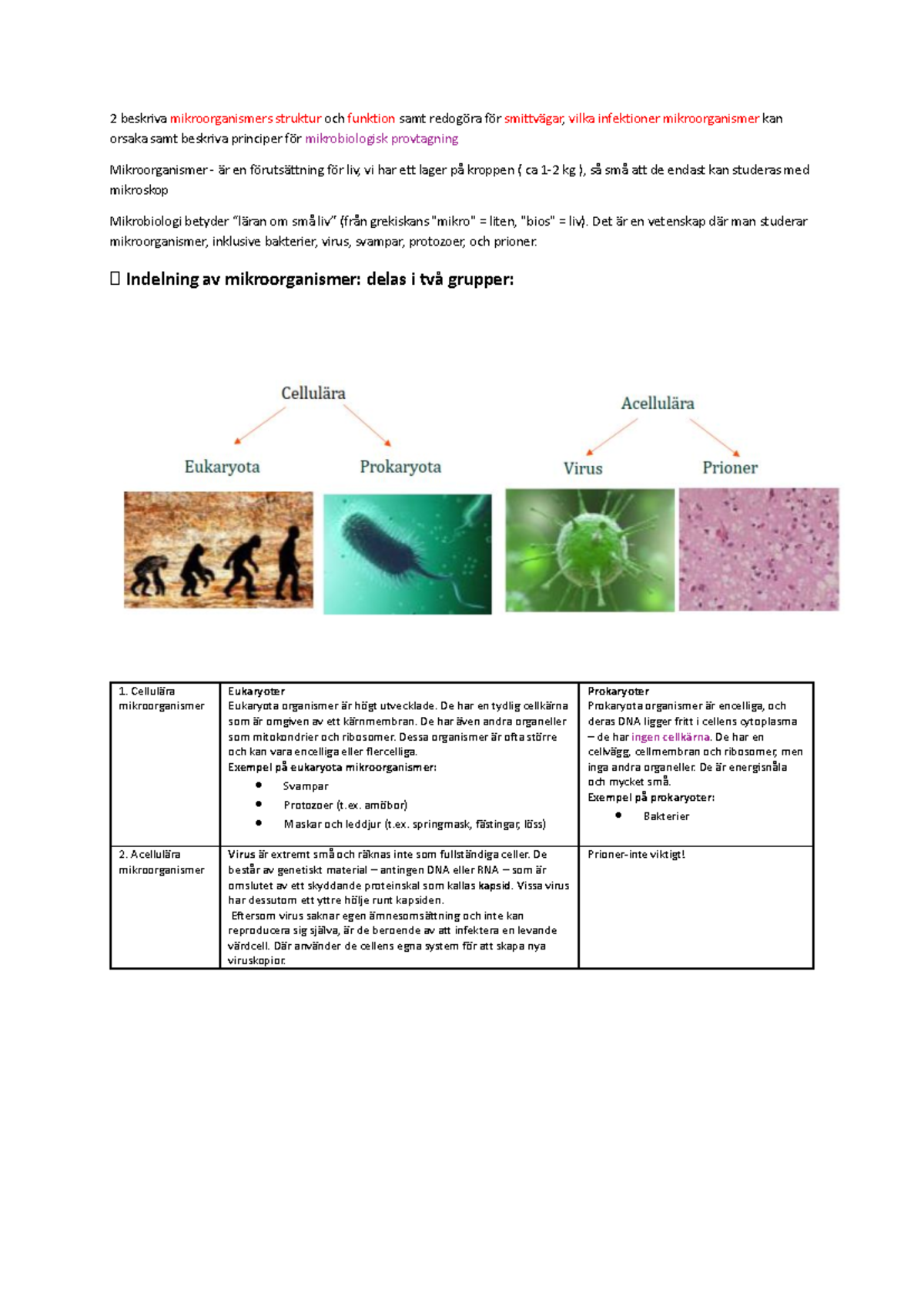 Mikrobiologi 2: Struktur, Funktion och Smittvägar för Mikroorganismer - Studocu