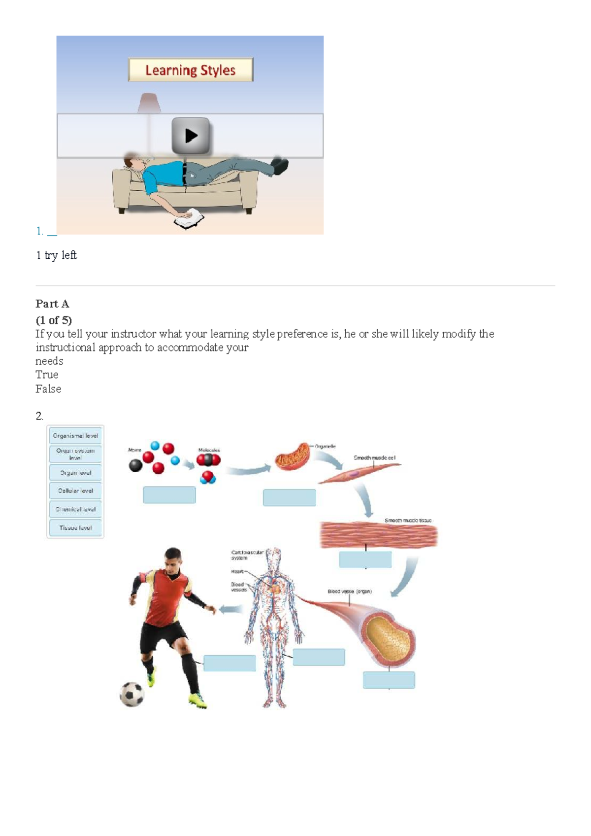 A1 Cell Tissue Assignment - Learning Style Preferences - Studocu