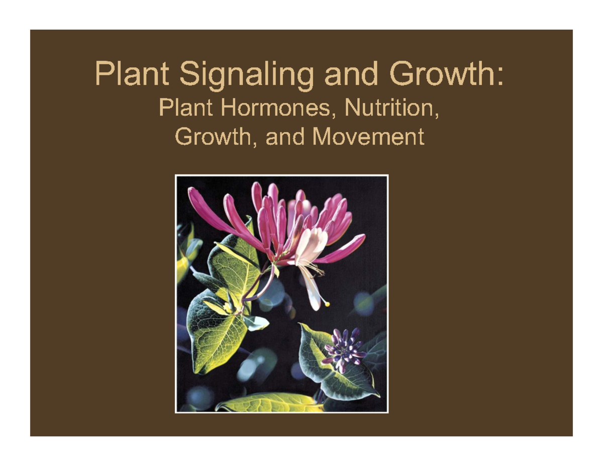 Plant Hormones and Nutrient Requirements: Growth Factors Overview - Studocu