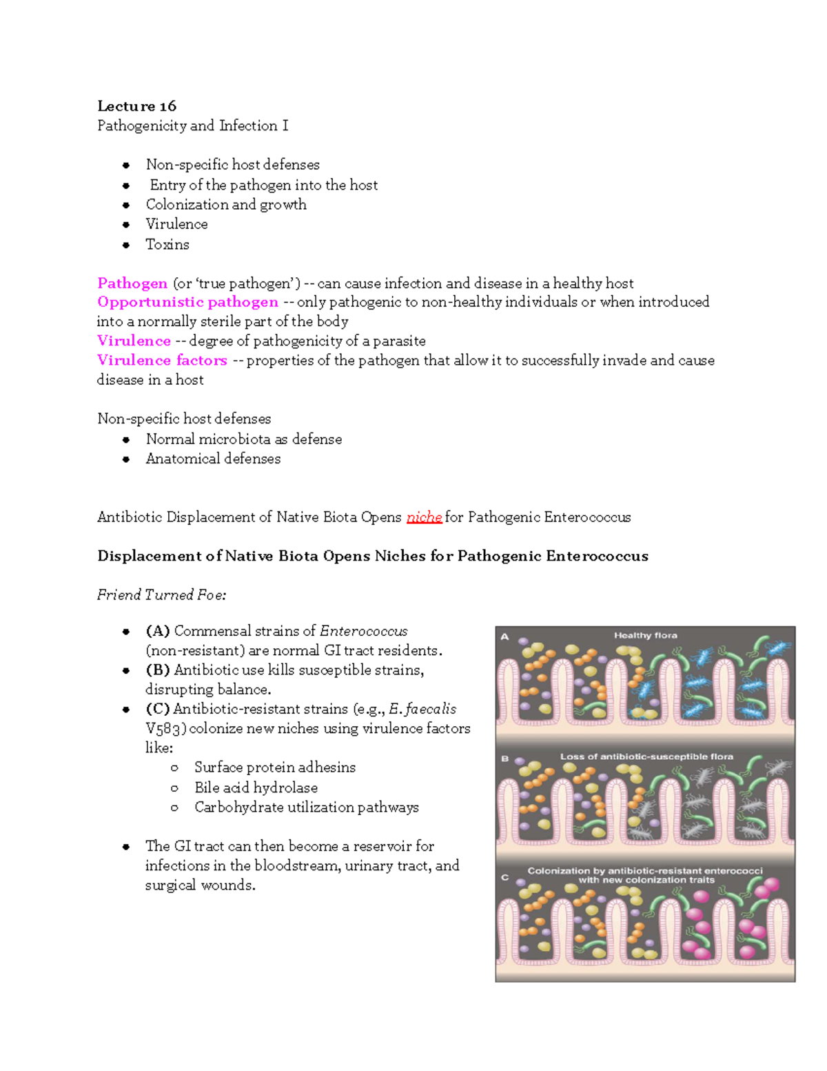 Microbiology Lecture Notes: Pathogenicity and Infection I (Lecture 16 ...