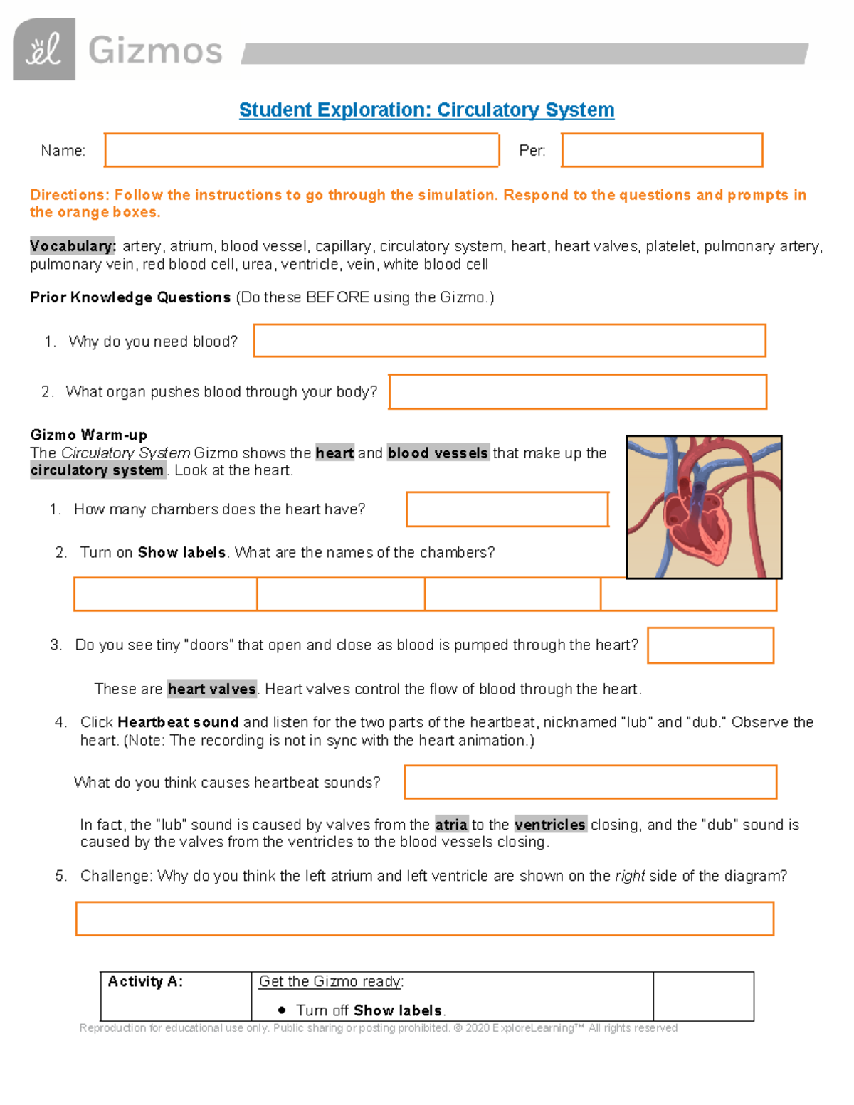27 - Cheat sheet - Student Exploration: Circulatory System Name: Per ...