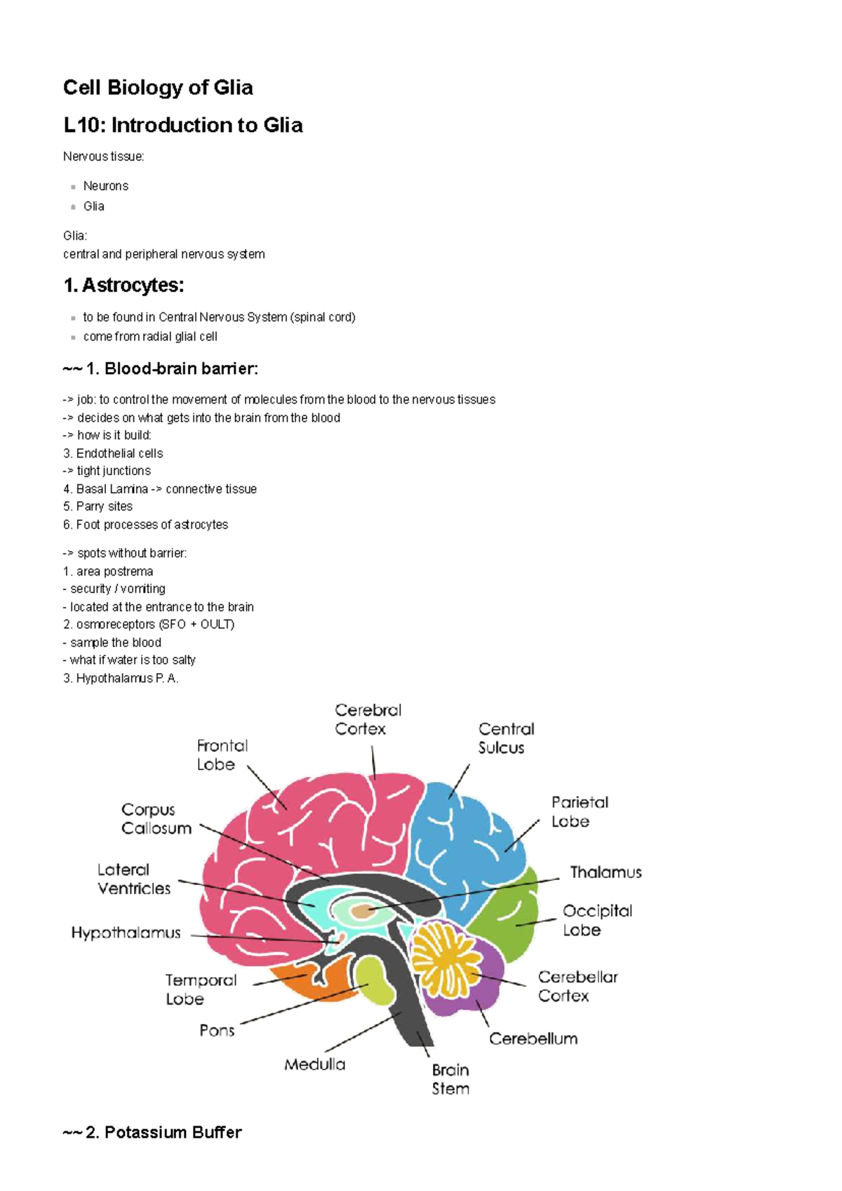 Cell Biology of Glia L10: Introduction to Glial Cells and Functions ...