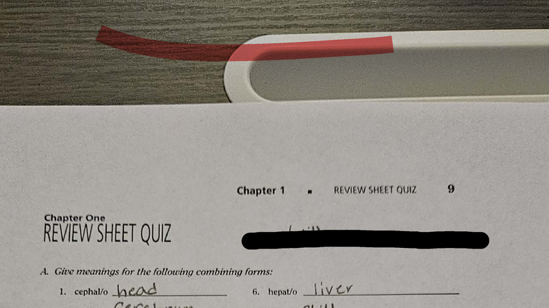 Chapter 1 REVIEW SHEET QUIZ - Combining Forms & Meanings - Studocu