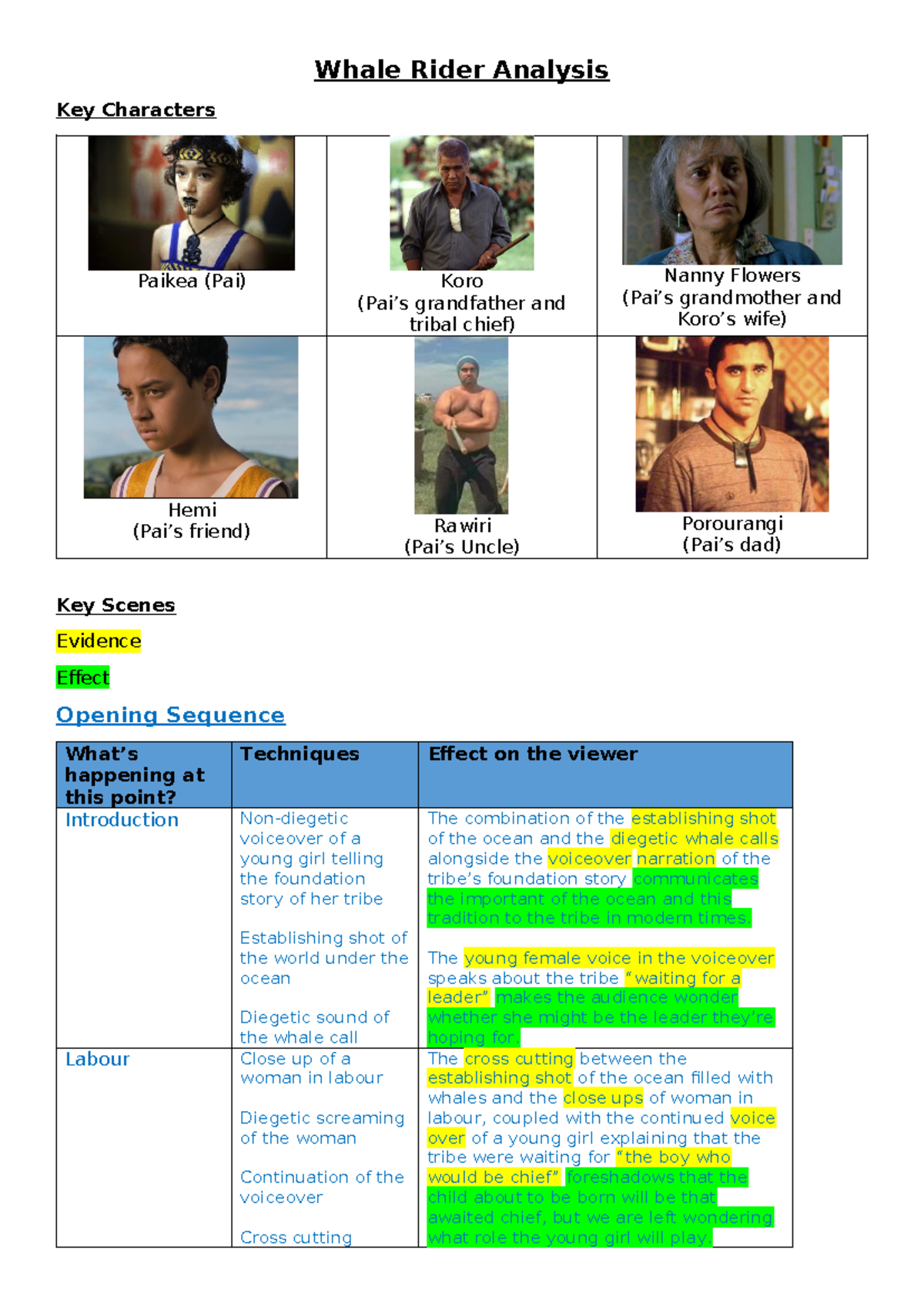 Whale Rider Film Analysis: Characters, Themes & Techniques - Studocu