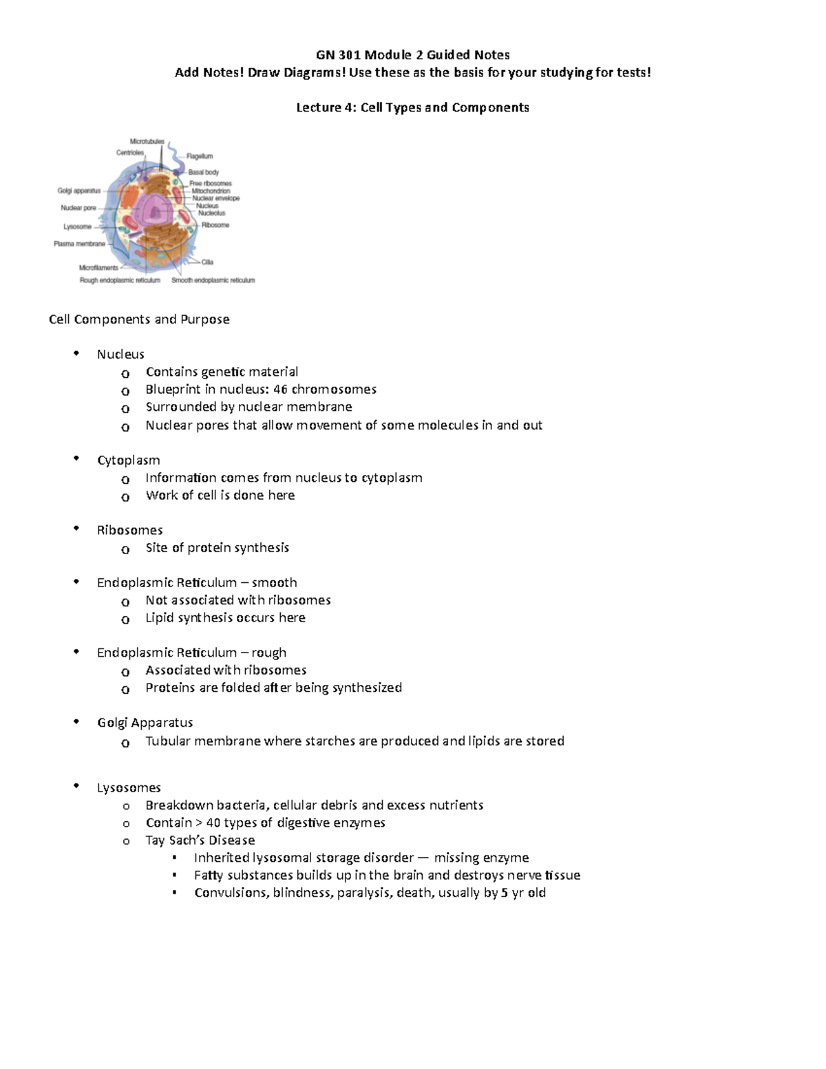 Module 2 Guided Notes - GN 301 Module 2 Guided Notes Add Notes! Draw ...