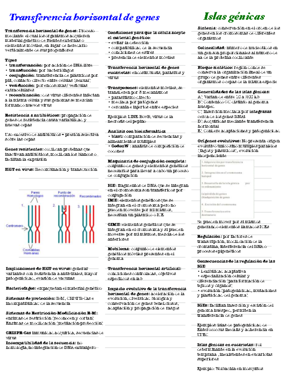 Transferencia Horizontal de Genes: Apuntes Parcial 3 GESCO - Studocu