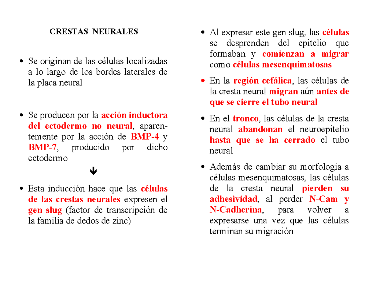 SN-Crestas Neurales: Migración y Diferenciación de Células - Studocu