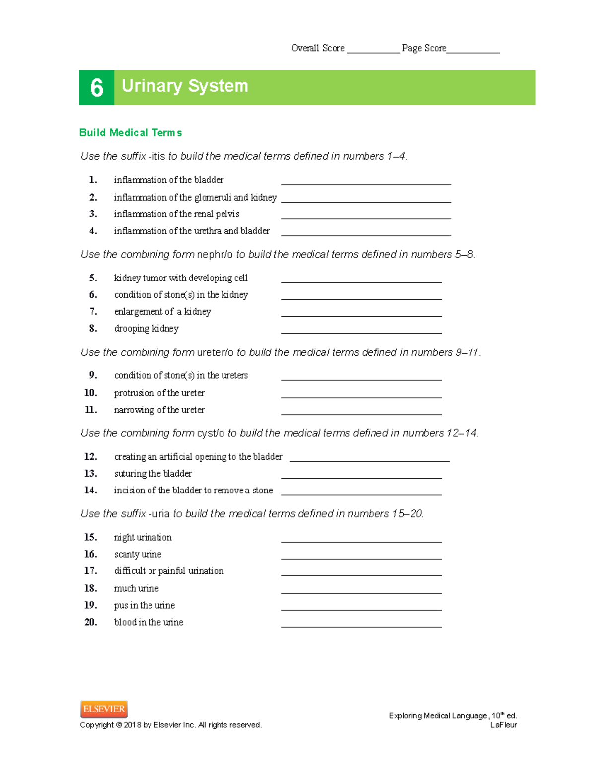 Chapter 6 Homework: Medical Terms for the Urinary System - Studocu