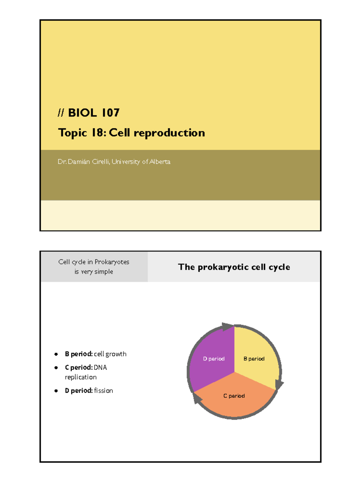 Cell Reproduction and Mitosis Overview - BIOL 107 Lecture Notes ...