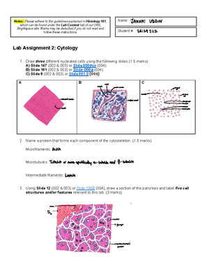 Lab 12 assignment FW24-25 - Name: Student #: Lab Assignment 12 ...