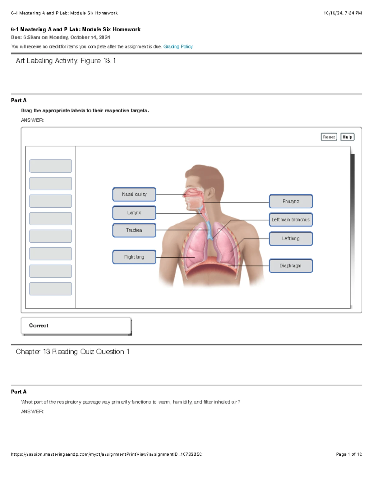 6-1 A&P Lab Module 6 Homework: Gas Exchange & Related Quiz Questions - Studocu