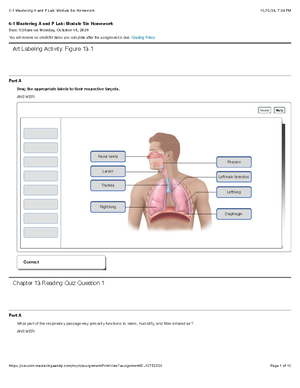 5-1 Mastering A and P Lab: Module Five Homework - Grading Policy ...