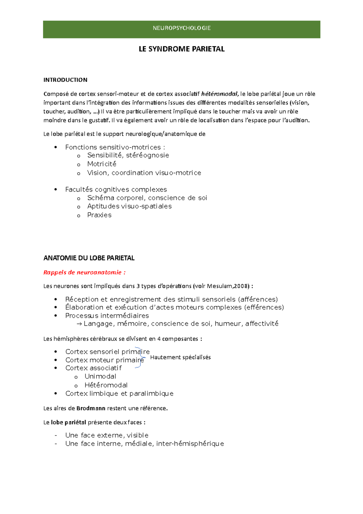Syndrome Parietal : Anatomie, Fonctions et Troubles Neuropsychologiques ...