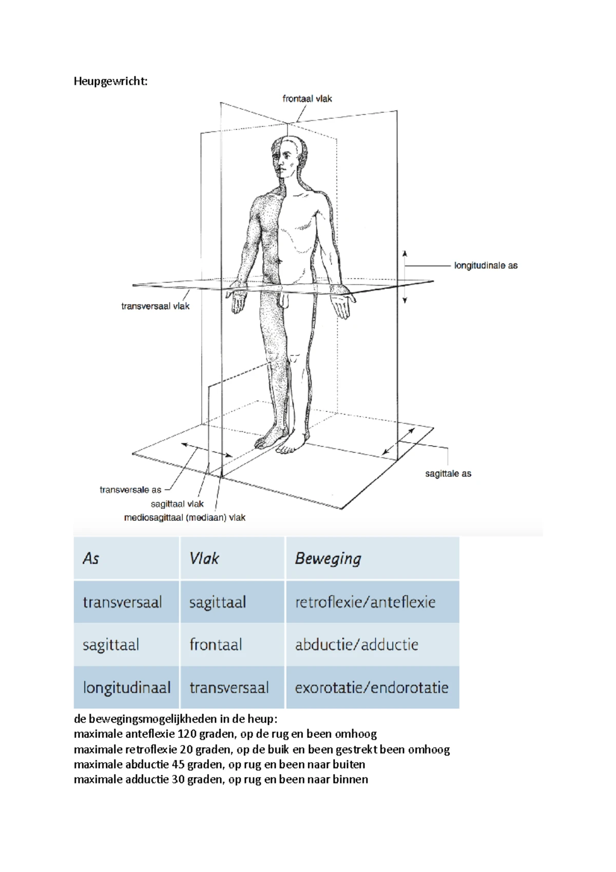 Anatomie en Functies van de Enkel Regio: Botten, Spieren en Ligamenten ...