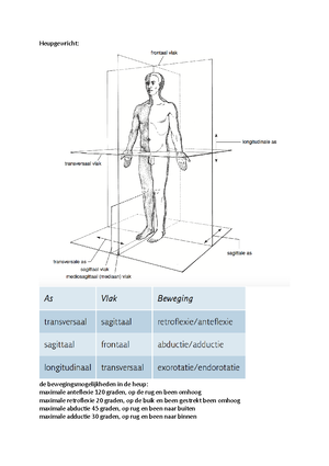 Anatomie Kaartjes Romp - m. quadratus lumborum Origo: crista iliaca ...