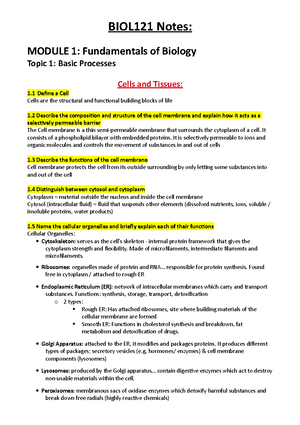 ECA COE Brochure 2016 - Code of Ethics Early Childhood Australia ...