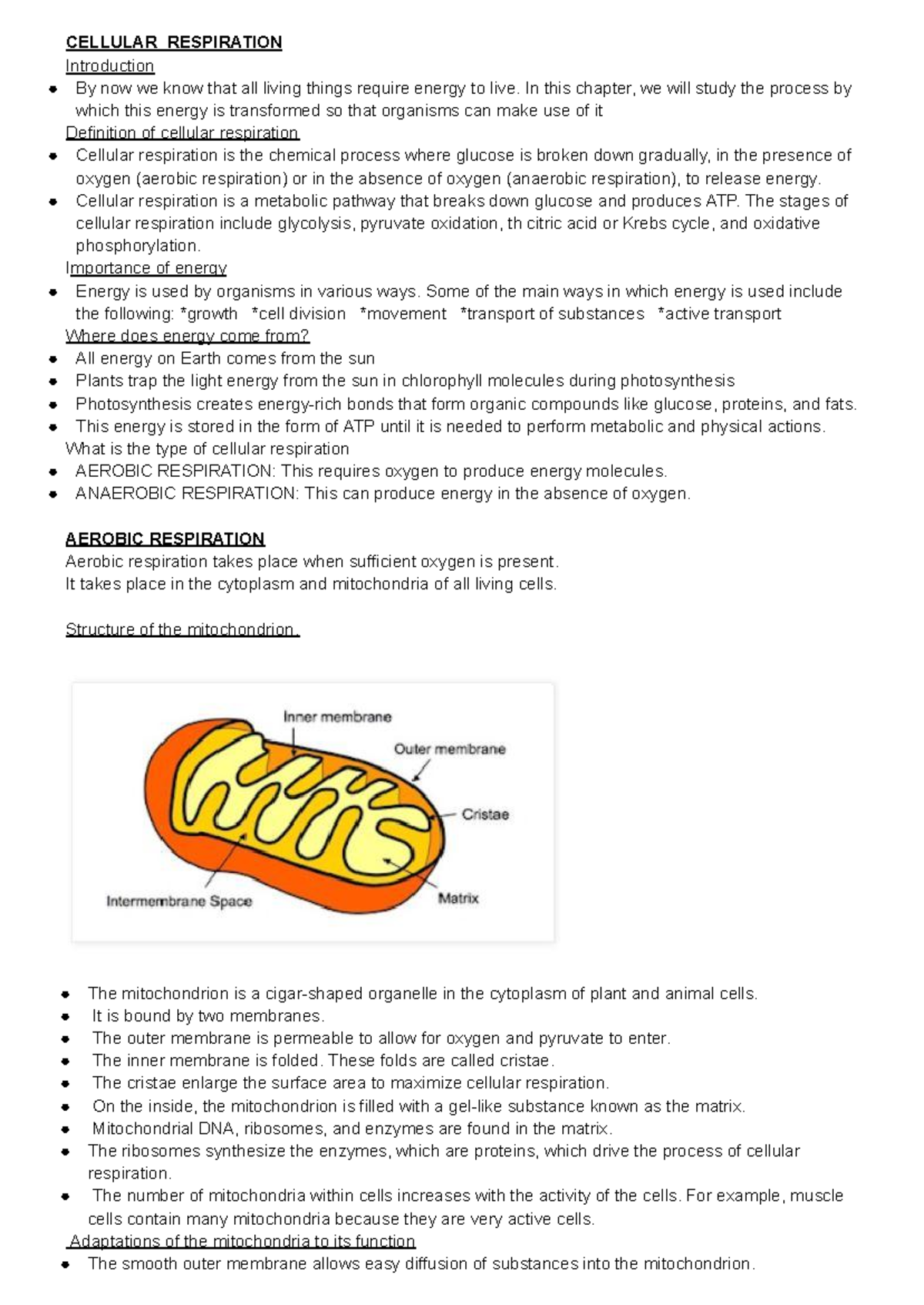 LFSC Term 3: Cellular Respiration and Gaseous Exchange Notes - Studocu