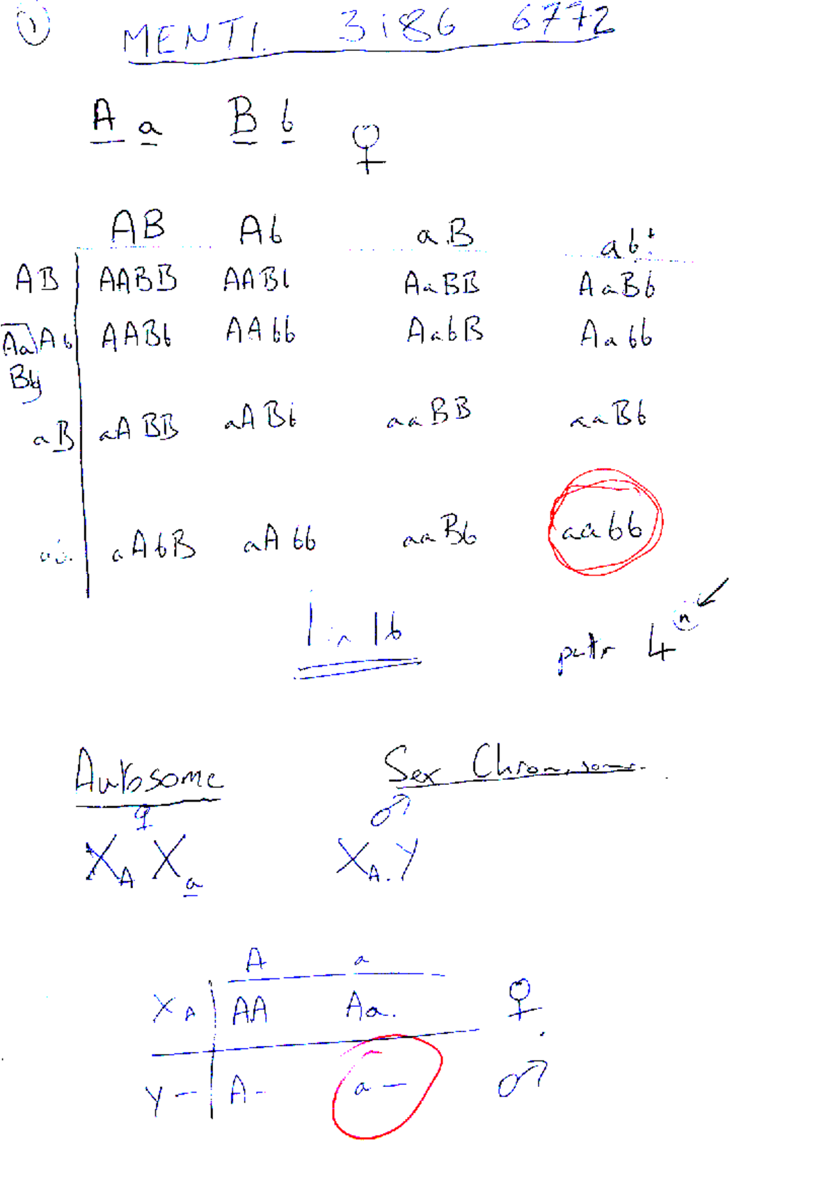 BIO363 Lecture Notes on Genetic Mutations and Disorders - Studocu