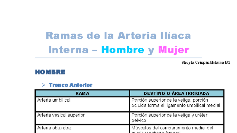 Ramas Iliacas Hombre Y Mujer - Ramas de la Arteria Ilíaca Interna ...