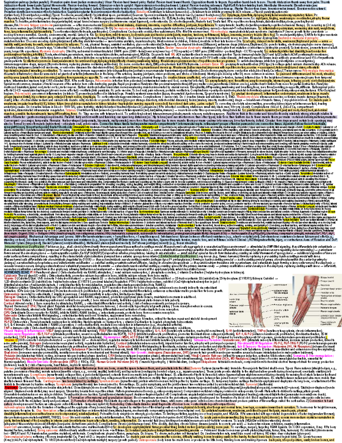 Anatomy 24-25 Cheat Sheet: Key Concepts and Clinical Insights - Studocu