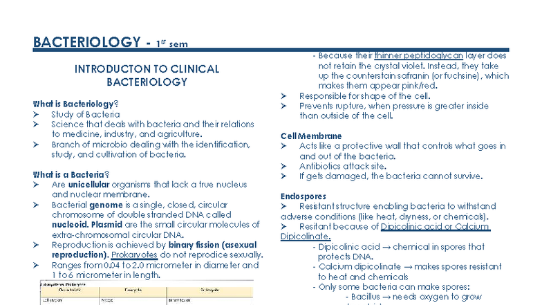 BACTERIOLOGY 1ST Sem: Introduction to Clinical Bacteriology Notes - Studocu