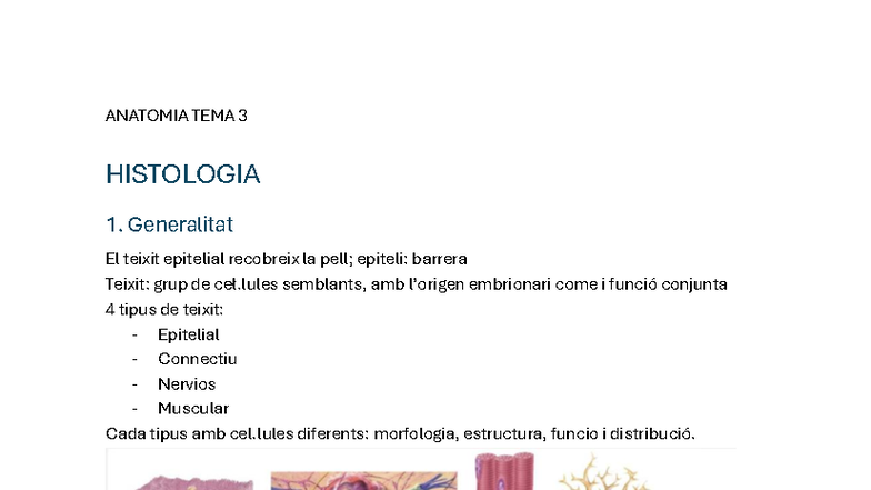 Anatomia Tema 3: Histologia del Teixit Epitelial i Connectiu - Studocu