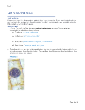 Cell structure - Then, please insert the correct pictures and answer ...